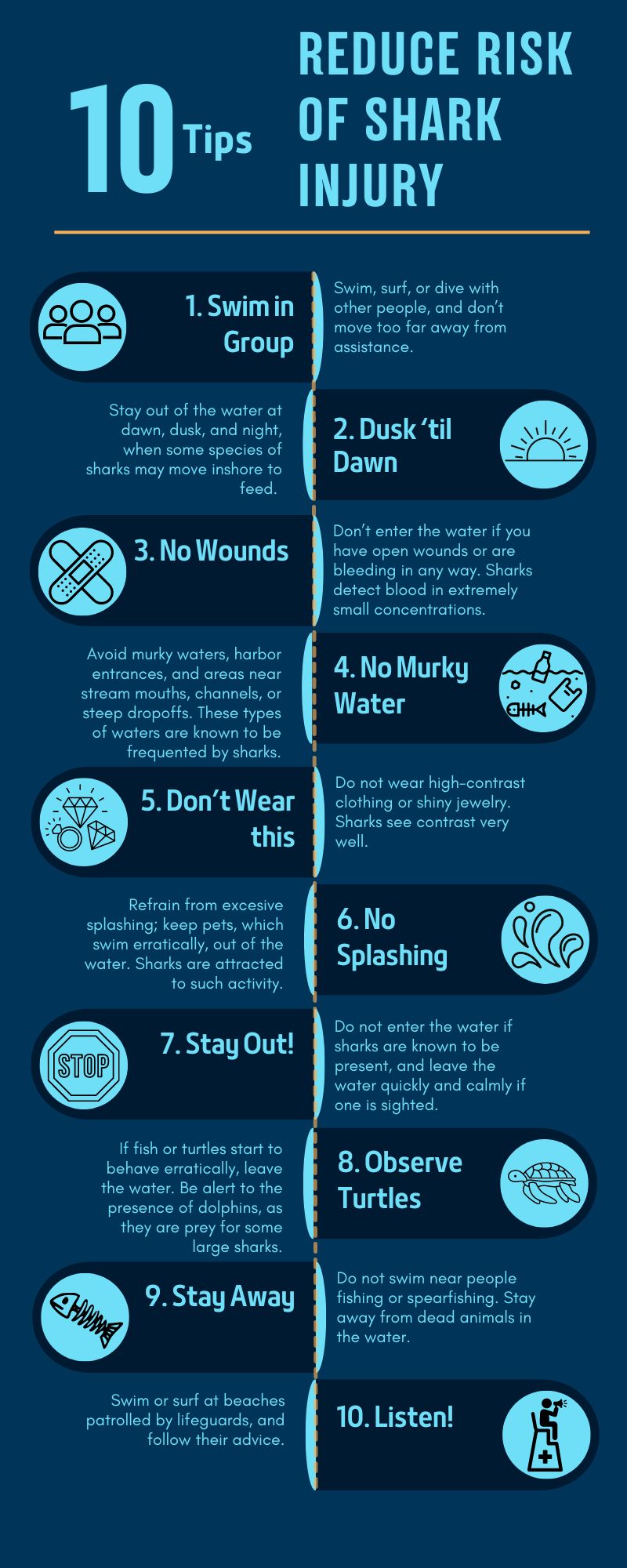 Dive into the Adventure: Shark Dive Hawaii - Daniels Honolulu Boat Tours